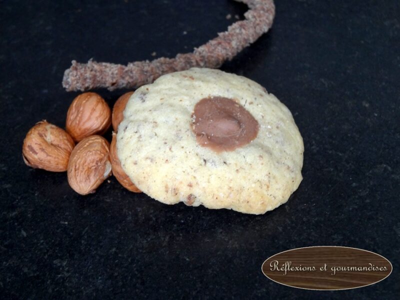 J’ai testé, on a aimé #10 : Biscuits nids aux noisettes et chocolat du ...